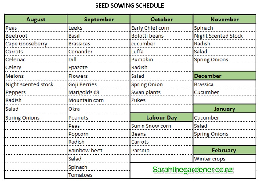 It’s all in the planning – SARAH THE GARDENER